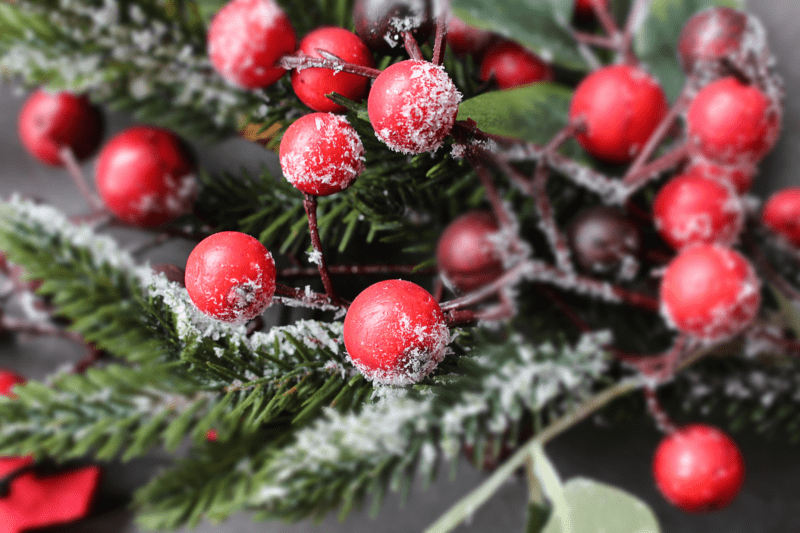 North Star Home - North Star Health